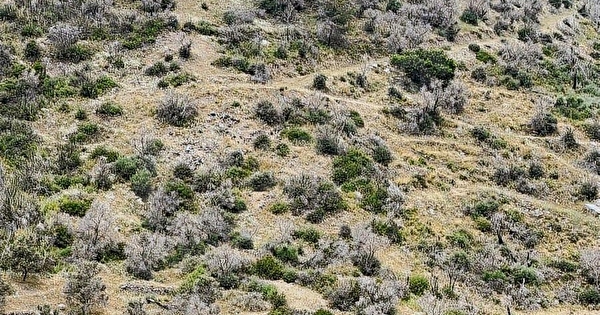 BOZALAN 'DA DENİZE 4 KM UZAKLIKTA TARLA 163492-5 | hepsiemlak