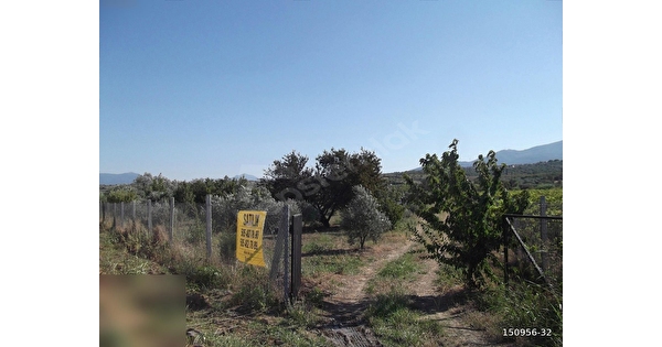 MANİSA KARAOĞLANLI BAĞLI TARLA 150956-32 | hepsiemlak