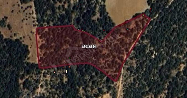 16.117 Square Meters Field For Sale in Mihalıççık, Eskisehir | hepsiemlak