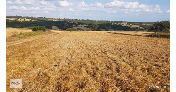 8.006 Square Meters Field For Sale in Silivri, Istanbul | hepsiemlak