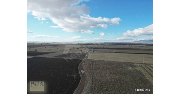 Net Premium'dan Tavas Orta da 1725 M2 TARLA 140402-256 | hepsiemlak