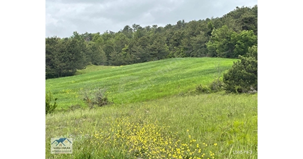 4.369 Square Meters Field For Sale in Geyve, Sakarya | hepsiemlak