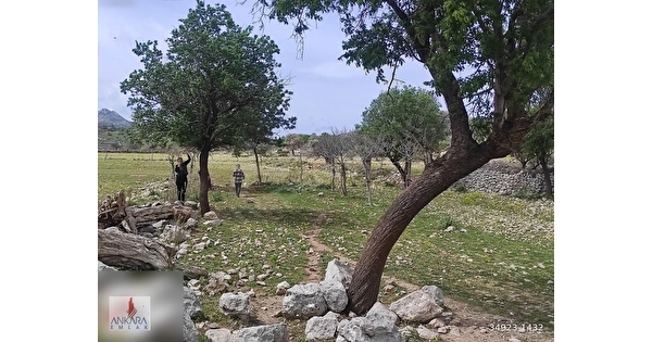 Marmaris Taşlıca'da Yol kenarı Köy yakını 1120 m2 düz tarla 34923-1432 ...