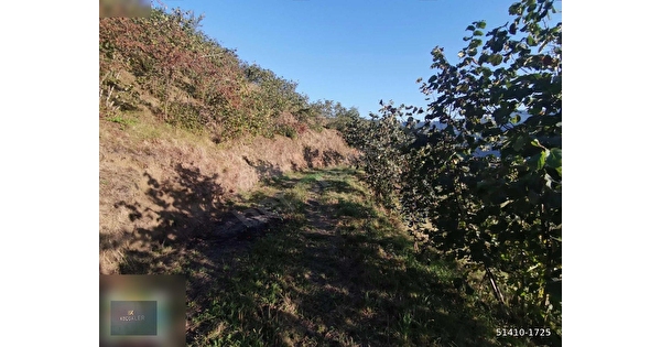 AKÇAKÖYDE SATILIK FINDIK BAHÇESİ 51410-1725 | hepsiemlak