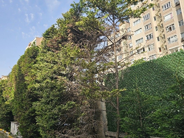 Makyol Yaşam Altı Cafeler Bölgesi Ana Cadde Üstü Devren Dükkan