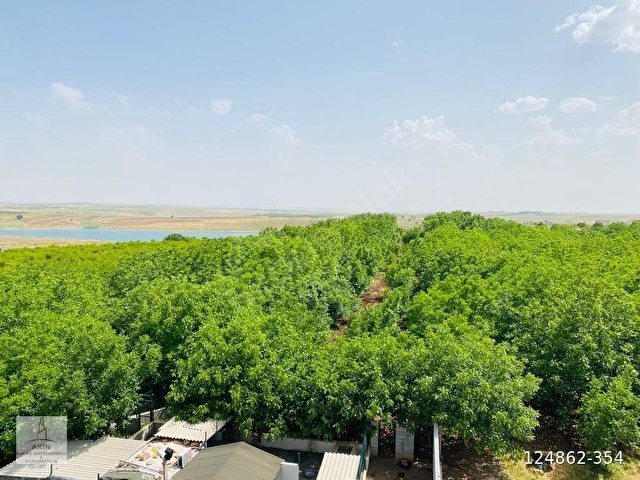 SATILIK YARIMADA ( Arazi ) Şanlıurfa Hİlvan Bahçecik FIRAT NEHRİNE ...