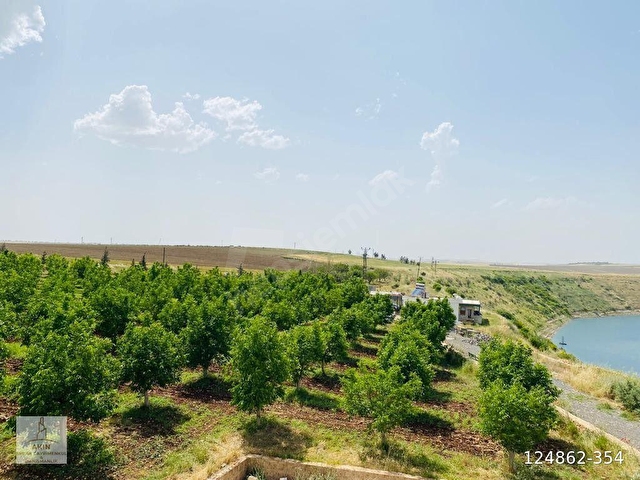 SATILIK YARIMADA ( Arazi ) Şanlıurfa Hİlvan Bahçecik FIRAT NEHRİNE ...