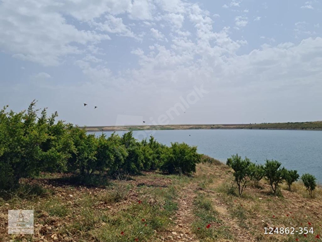 SATILIK YARIMADA ( Arazi ) Şanlıurfa Hİlvan Bahçecik FIRAT NEHRİNE ...
