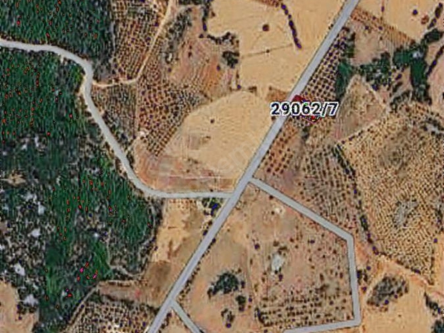 Tek Tapu Ana Yol Üstü Zeytin Bahçesi