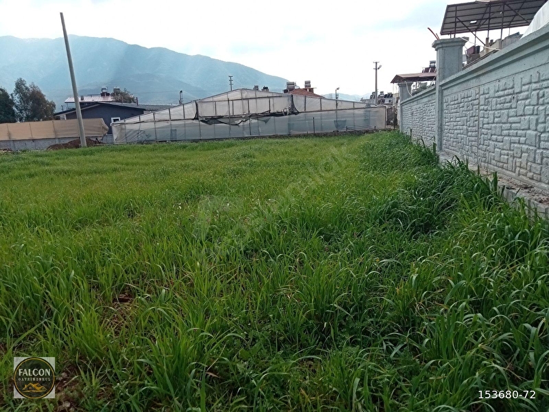 Falcon Dan Karaçulha Da Fırsat 480M Tarla