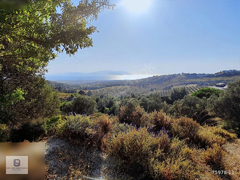 Kuşadası Caferli'de Deniz Manzaralı Tiny Yaşam Projesi