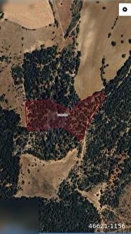 16.117 Square Meters Field For Sale in Mihalıççık, Eskisehir | hepsiemlak