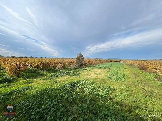 MENEMEN ÇAVUŞKÖY’DE ÇANAKKALE ASFALTI YAKINI 8.100 M2 SATILIK BAĞ 2499 ...