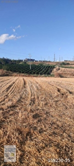 3.010 Square Meters Field For Sale in Süleymanpaşa, Tekirdag | hepsiemlak