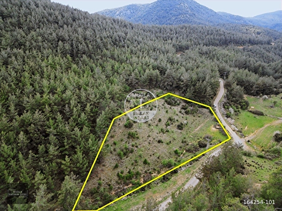 5.880 Square Meters Field For Sale in Menteşe, Mugla | hepsiemlak