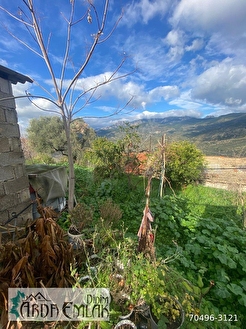 KÖY İÇİ VİLLA YAPIMINA UYGUN MEYVA AĞAÇLI ARSA 70496-3121 | hepsiemlak