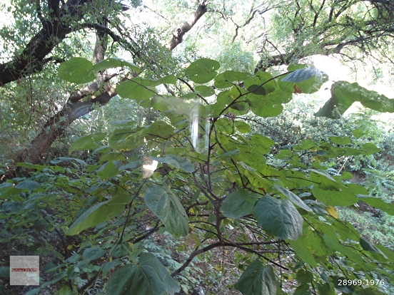 MODA BOMONTİ'DE SIFIR DENİZ MANZARALI KATTA TEK KİRALIK DAİRE.. 28969 ...