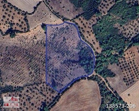 45.500 Square Meters Field For Sale in Bayramiç, Canakkale | hepsiemlak