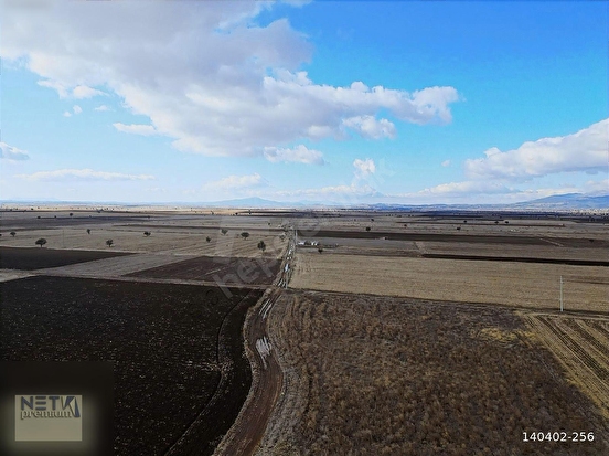 Net Premium'dan Tavas Orta da 1725 M2 TARLA 140402-256 | hepsiemlak