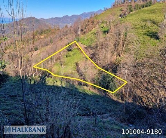 Artvin Hopa Satılık Arsa 101004-9180 | hepsiemlak