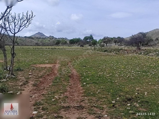 Marmaris Taşlıca'da Yol kenarı Köy yakını 1120 m2 düz tarla 34923-1432 ...