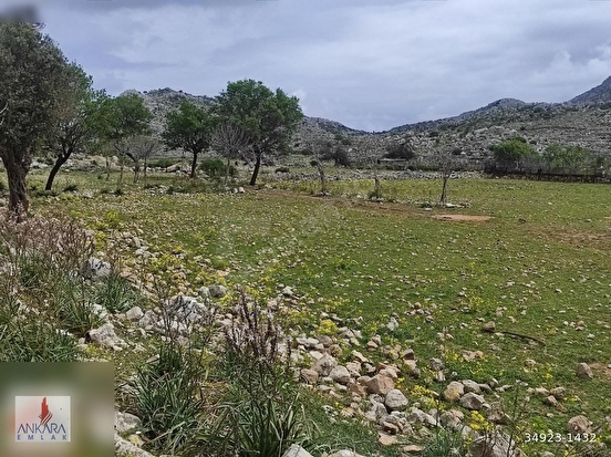 Marmaris Taşlıca'da Yol kenarı Köy yakını 1120 m2 düz tarla 34923-1432 ...
