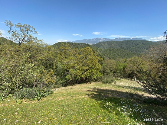 9.500 Square Meters Field For Sale in Kumluca, Antalya | hepsiemlak
