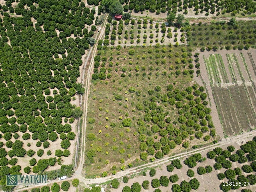 KÖYCEĞİZ TOPARLAR^DA 5100 m² SATILIK NARENCİYE BAHÇESİ 138155-27 ...